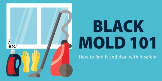 Black Mold 101: How To Find It And Deal With It Safely|Medicentres